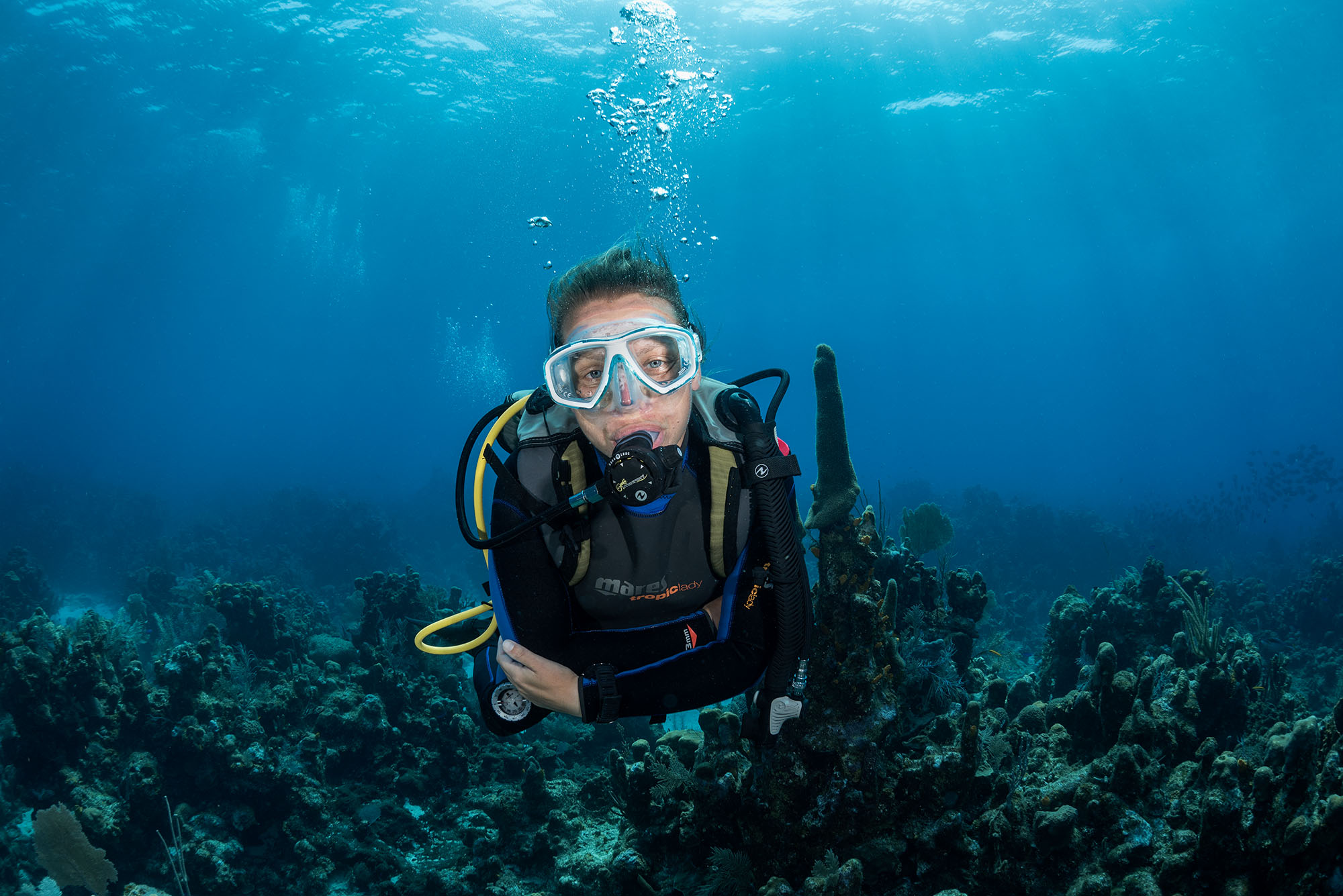 Divemaster Internship and Instructor course packages Roatan