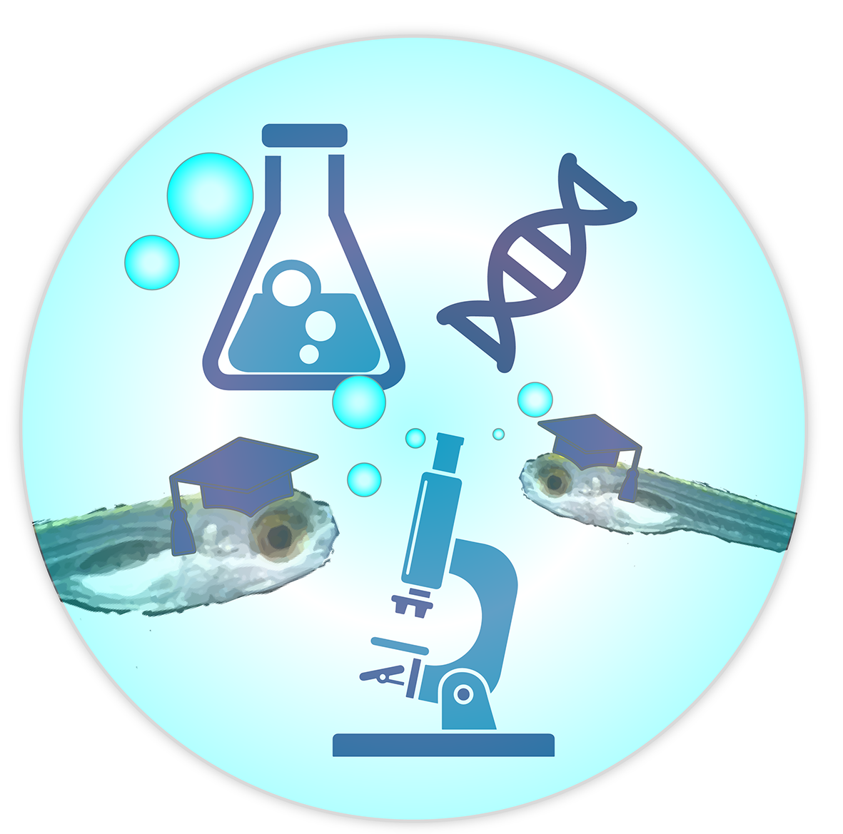 Zebrafish UCL
