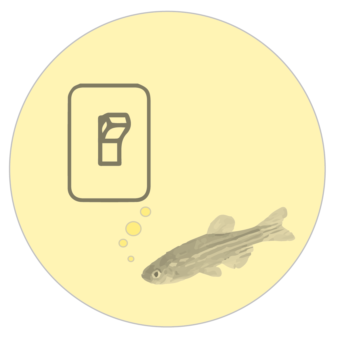 Zebrafish UCL