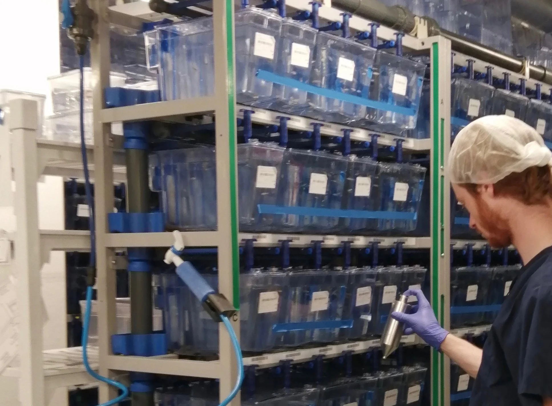 Zebrafish Facility — Zebrafish UCL