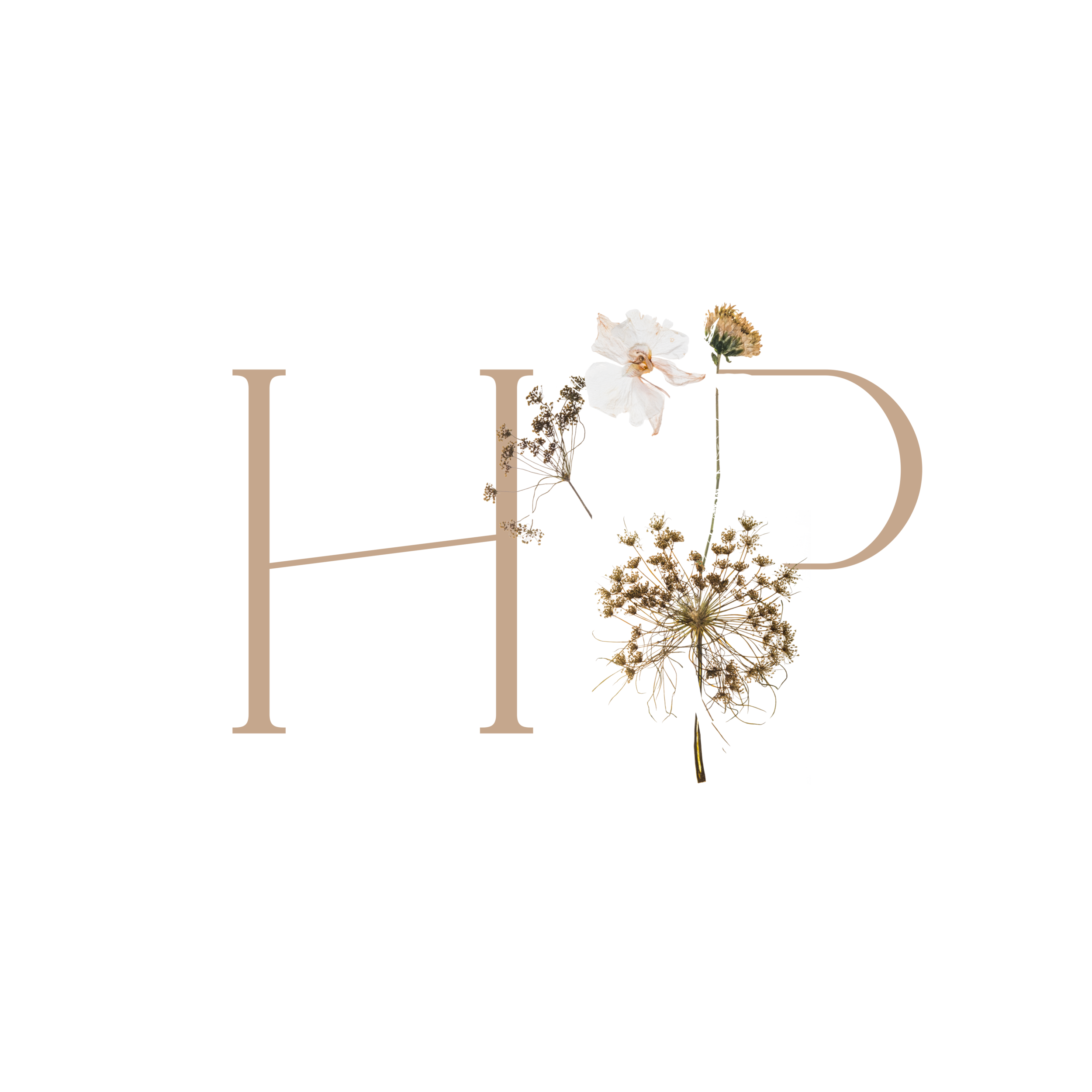 Hayley Pethel Photography