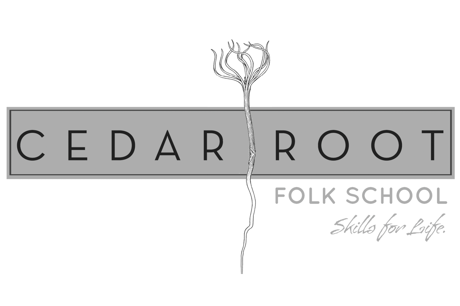 CedarRoot