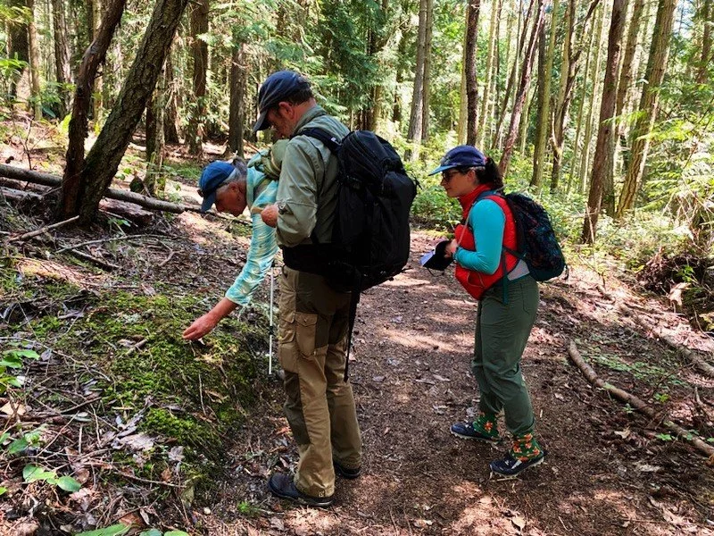 Instructors — CedarRoot School