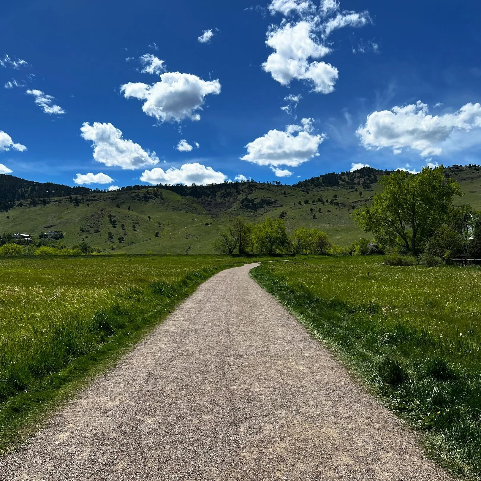 Coaching — Jen Berlingo