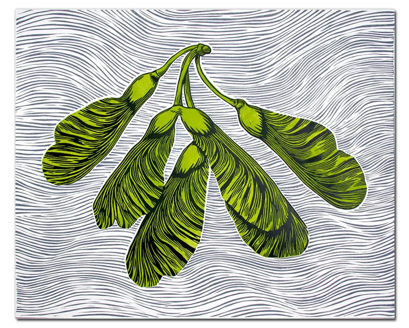 Maple Helicopter — Nessy Press