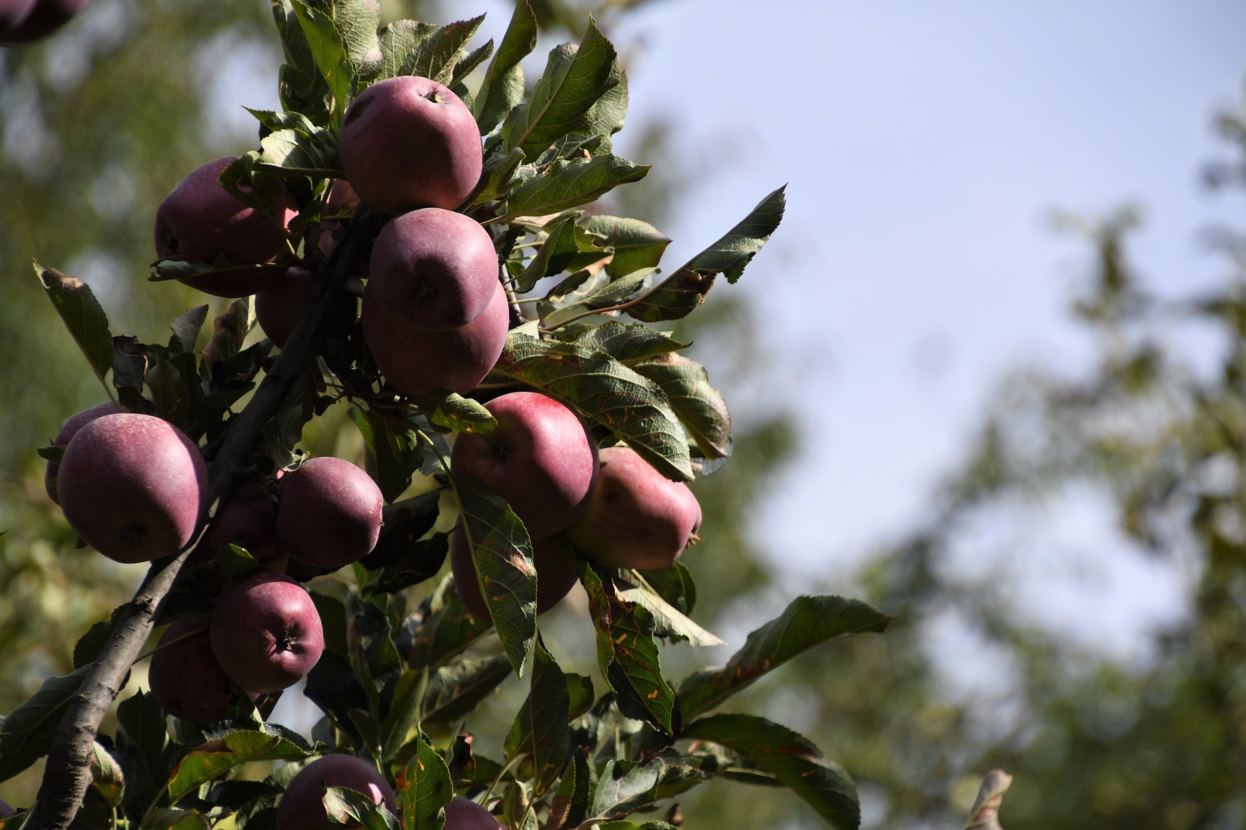 Marrakech & the Atlas Mountains | Morocco — WWW