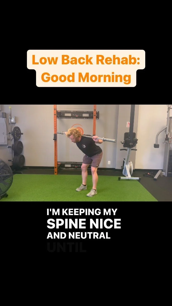 What Can You Do With a Chronic Rotator Cuff Tear? — DeWitt Physical Therapy