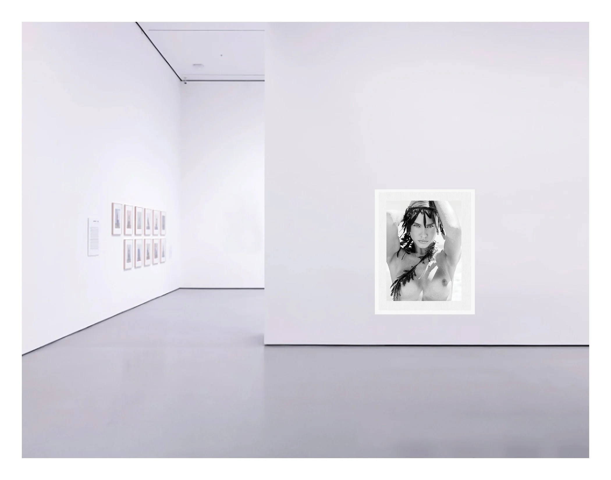 Jim Jordan — ACCA Fine Arts Company