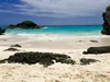 Guide on Getting a Bermuda Digital Nomad Visa (Work from Bermuda ...