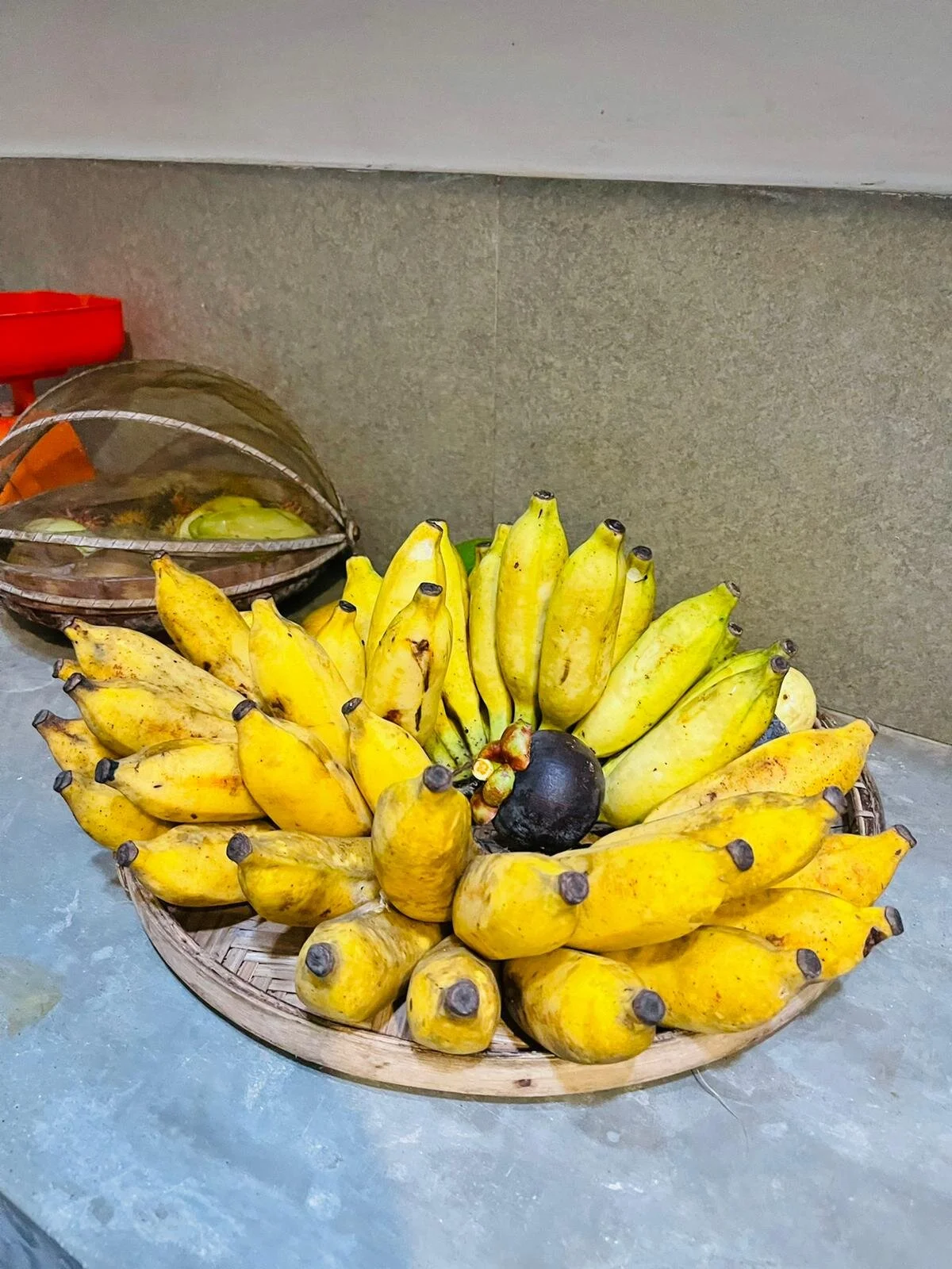 Kach Solo Travels in 2021: Meditation and an Ayurvedic consultation!