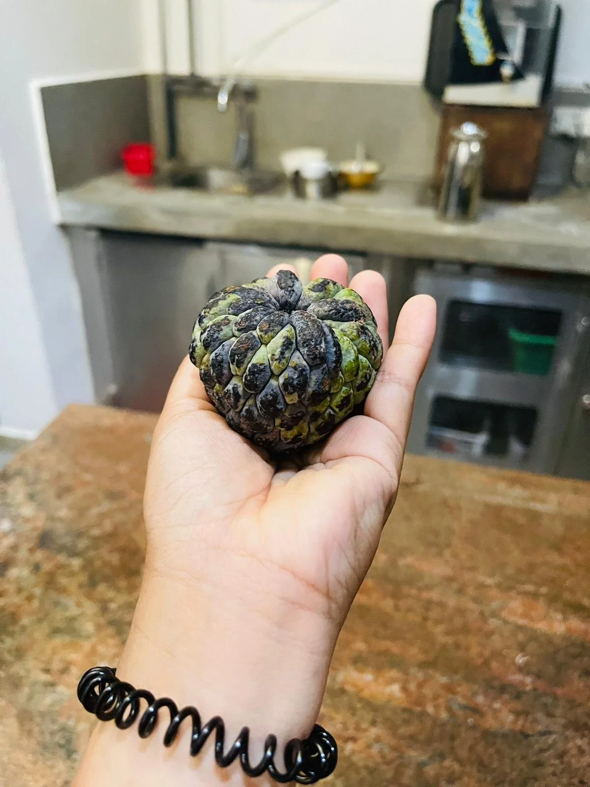 Kach Solo Travels in 2021: Meditation and an Ayurvedic consultation!