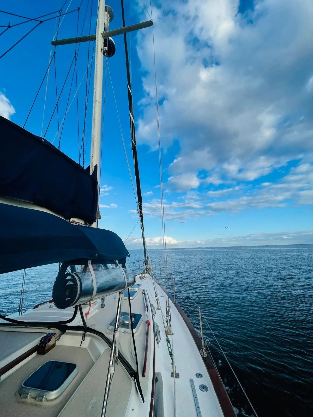 Kach Solo Travels in 2021: St. Petersburg, Florida!