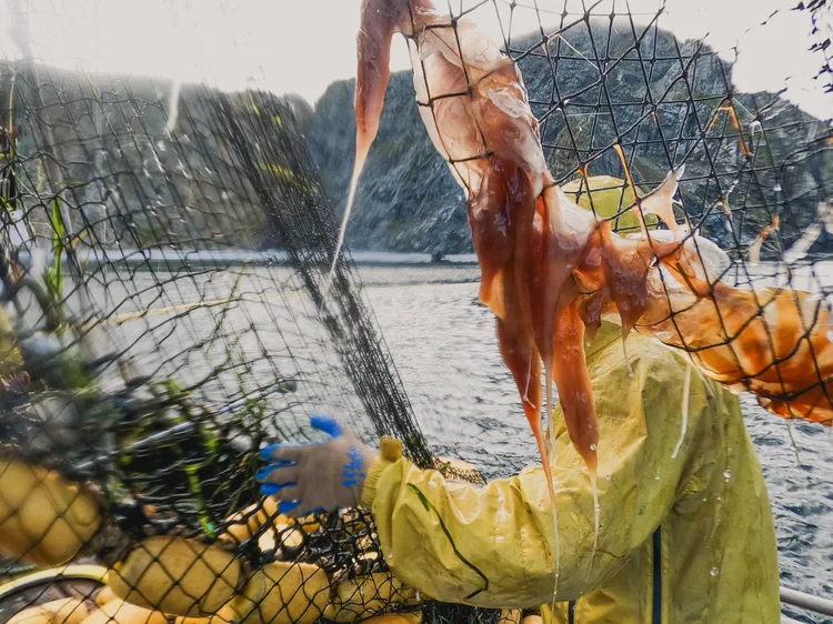 by, Angel Tirado | Works by Angel Tirado | CEO of Angel Studio LLC