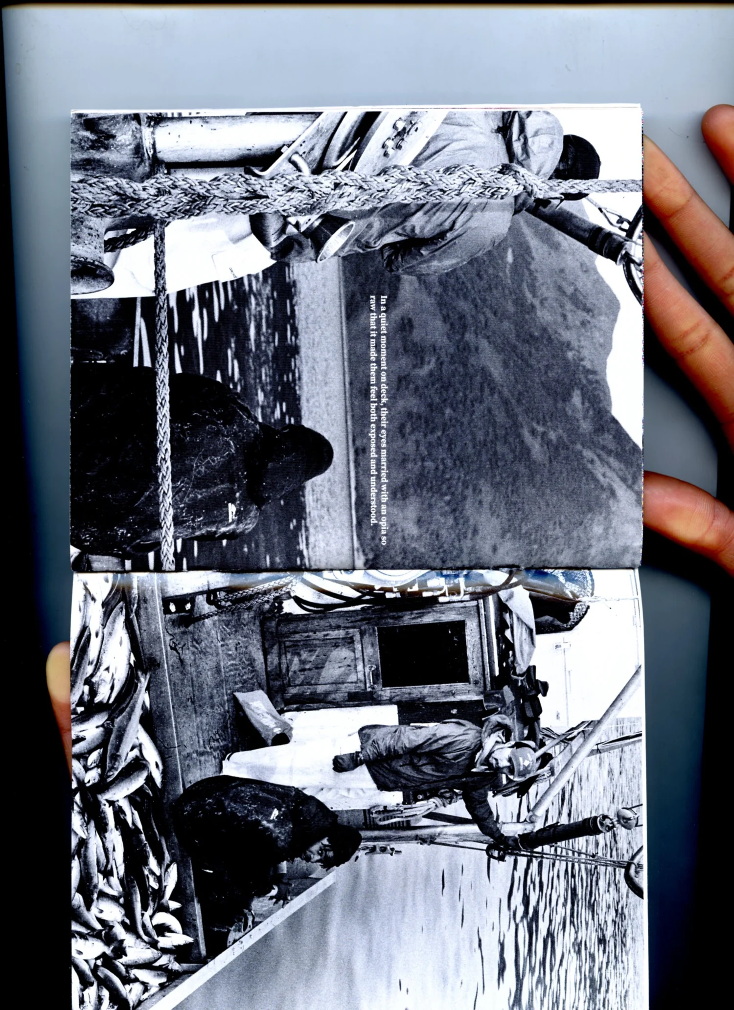 by, Angel Tirado | Works by Angel Tirado | CEO of Angel Studio LLC