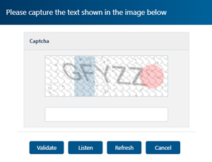 Tax Compliance PIN for Companies and Individuals