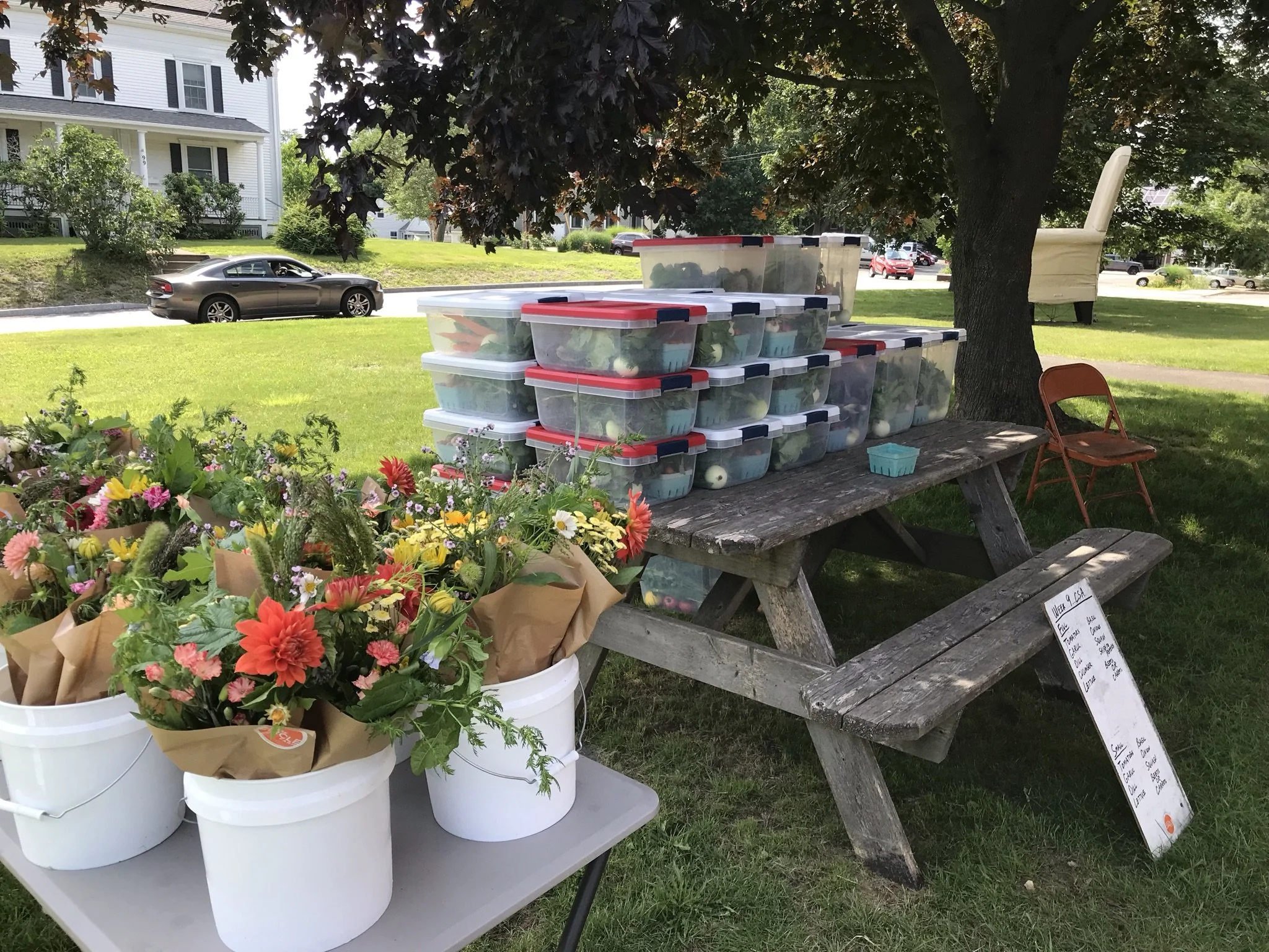 Flower CSA — Orange Circle Farm