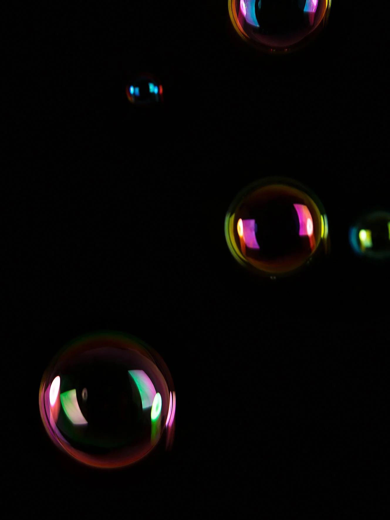 CARINA LINGE-WERKE — JARMUSCHEK + PARTNER