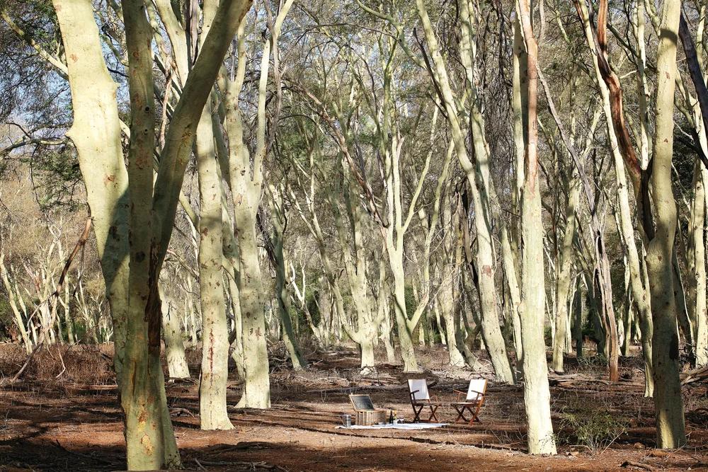 Seven magical experiences to enjoy at The Outpost - Rare Earth