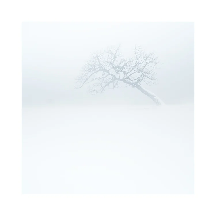 Hokkaido Island, Japan — Bruce Percy