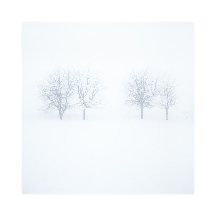 Hokkaido Island, Japan — Bruce Percy