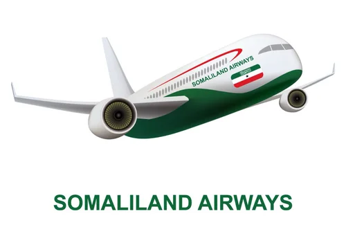 Somaliland Airline Launch — Foreign Affairs Forum