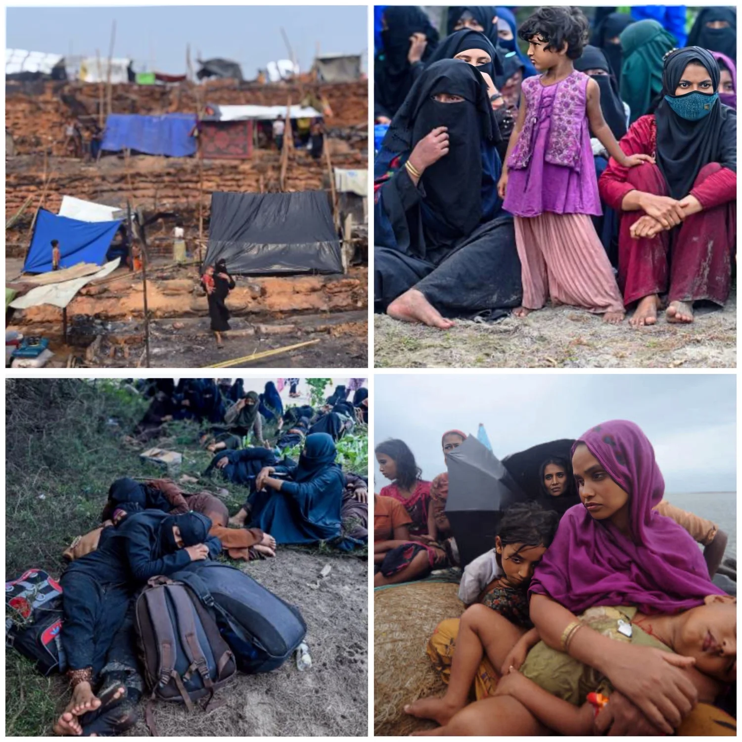 What is history of Rohingya minority in Myanmar? War crimes & Genocide ...