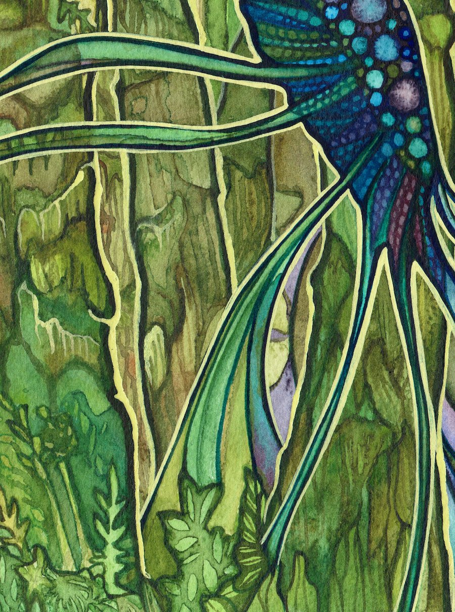 Tamara Phillips — "Rainforest Raven" - Original Watercolour Painting