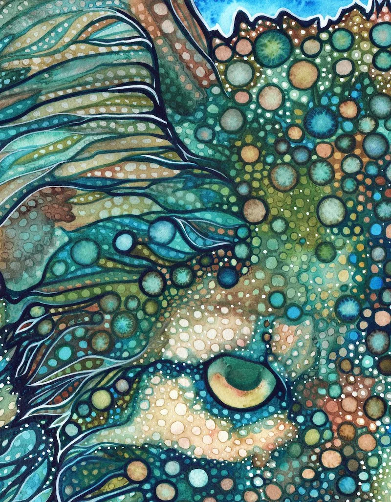 Tamara Phillips — Little Wolf Watercolour Painting