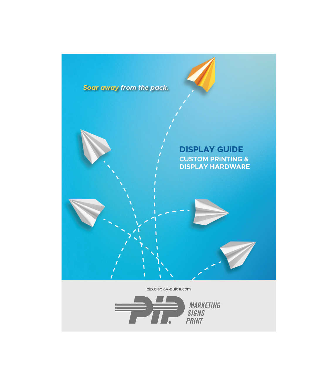 PIP Display Guide — Display Guide