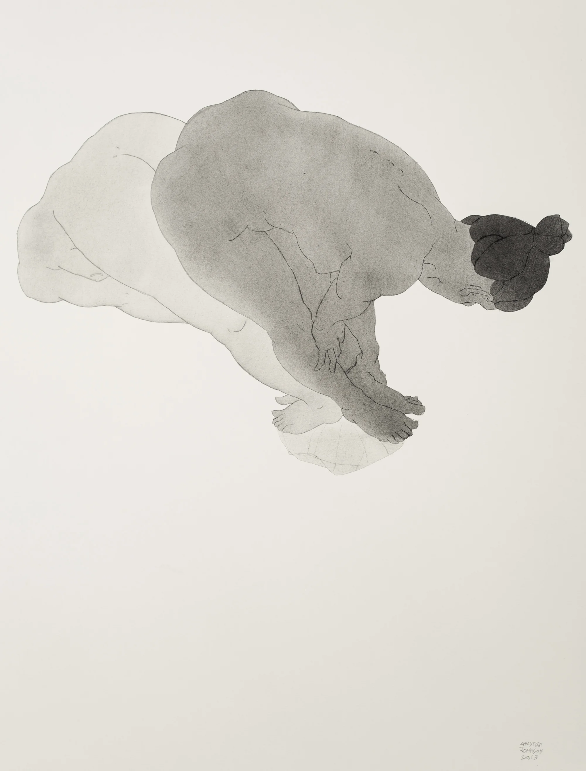 Double Vision 2014 — Christian Johnson