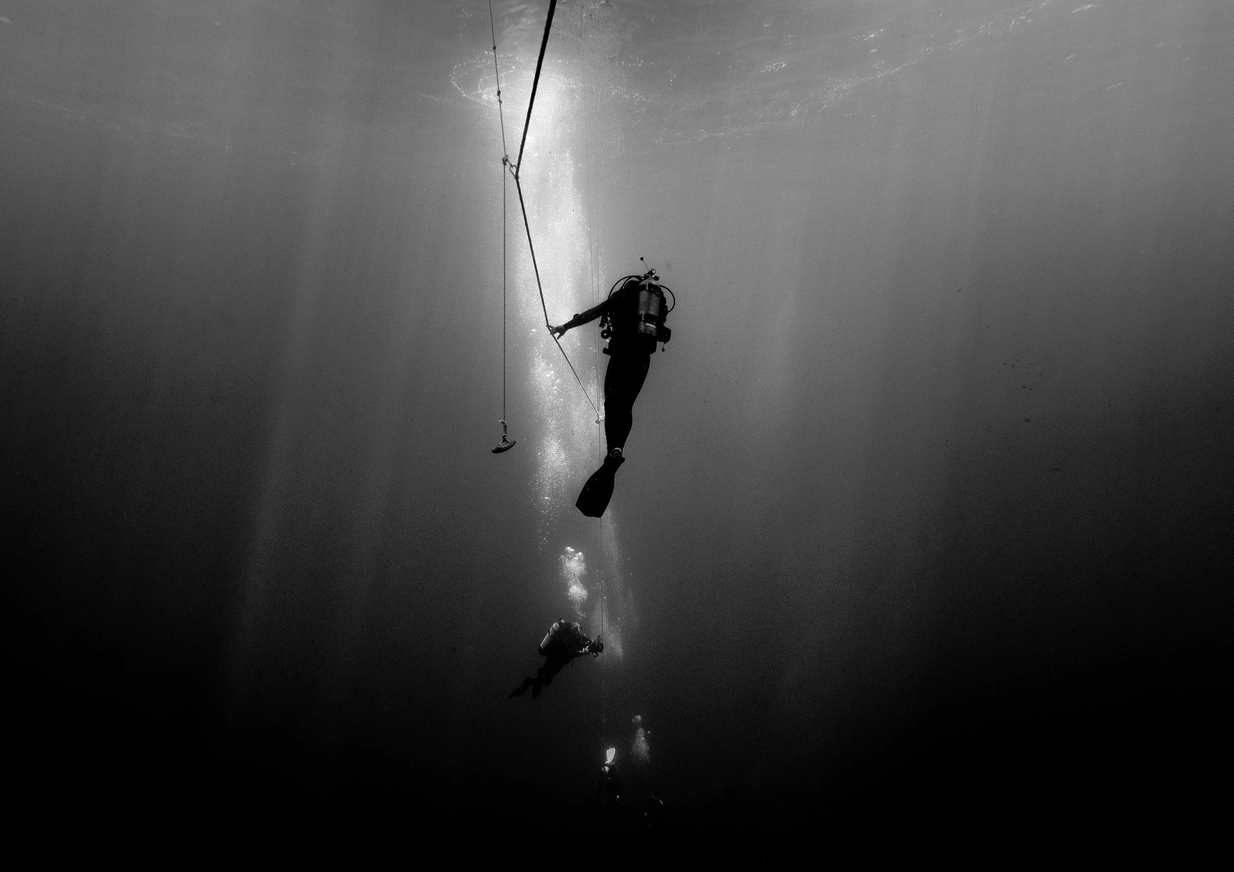 Black And White Underwater Photography
