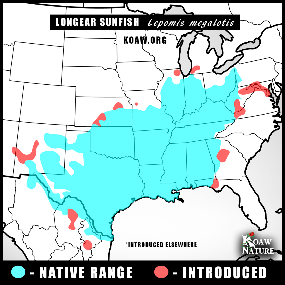 Lepomis Range Maps — Koaw Nature