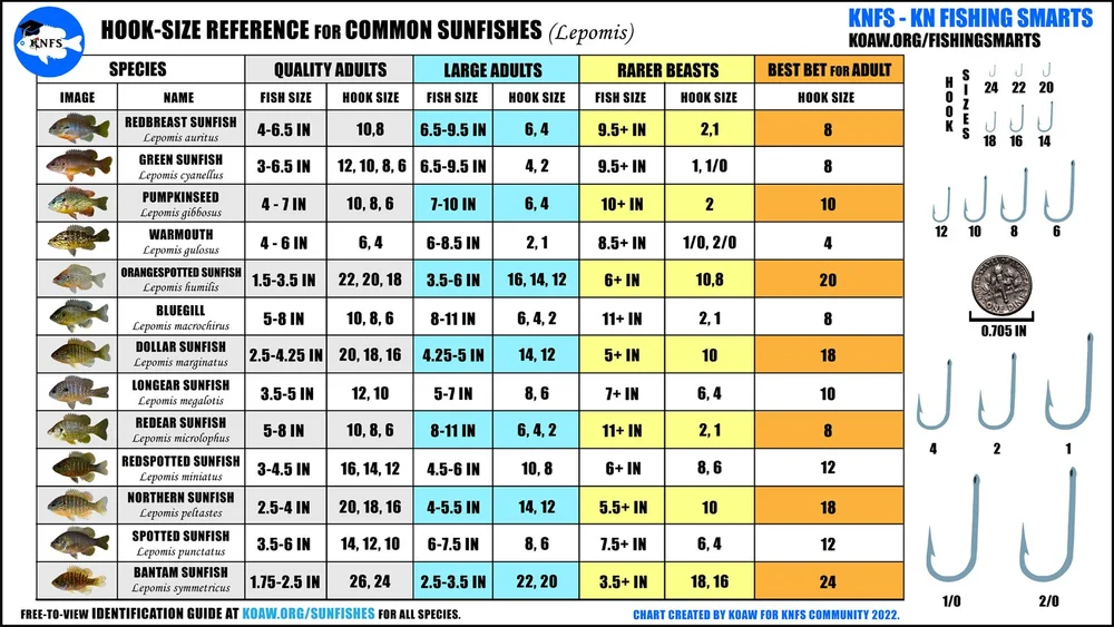 KNFS Free Hook-Size Chart for Common Sunfishes - Bluegill, longear ...