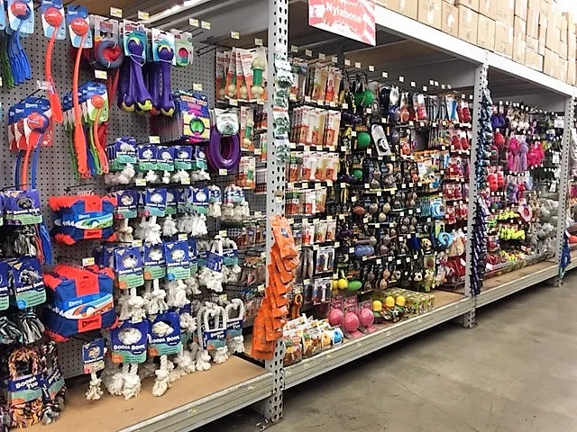 Hayward — PET CLUB