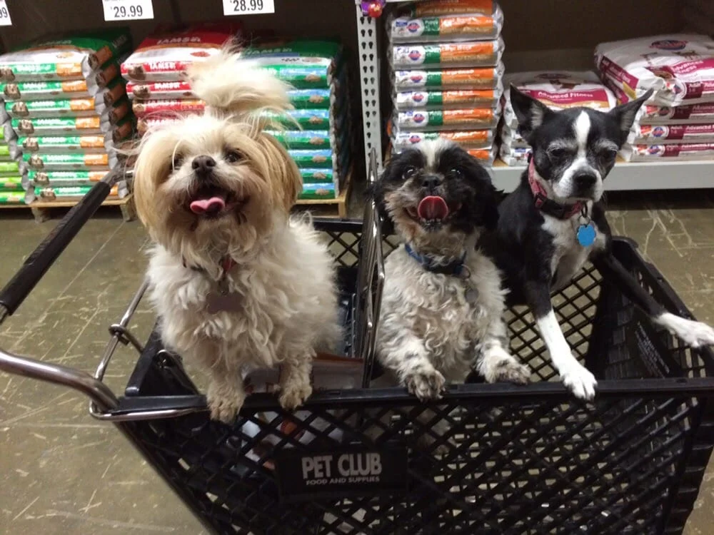 Fairfield — PET CLUB