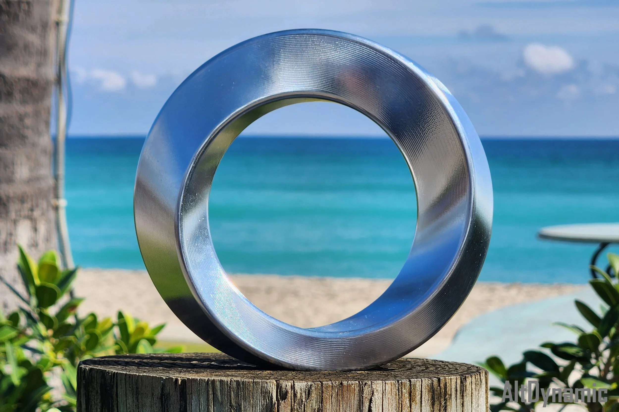 Mobius XL — AltDynamic