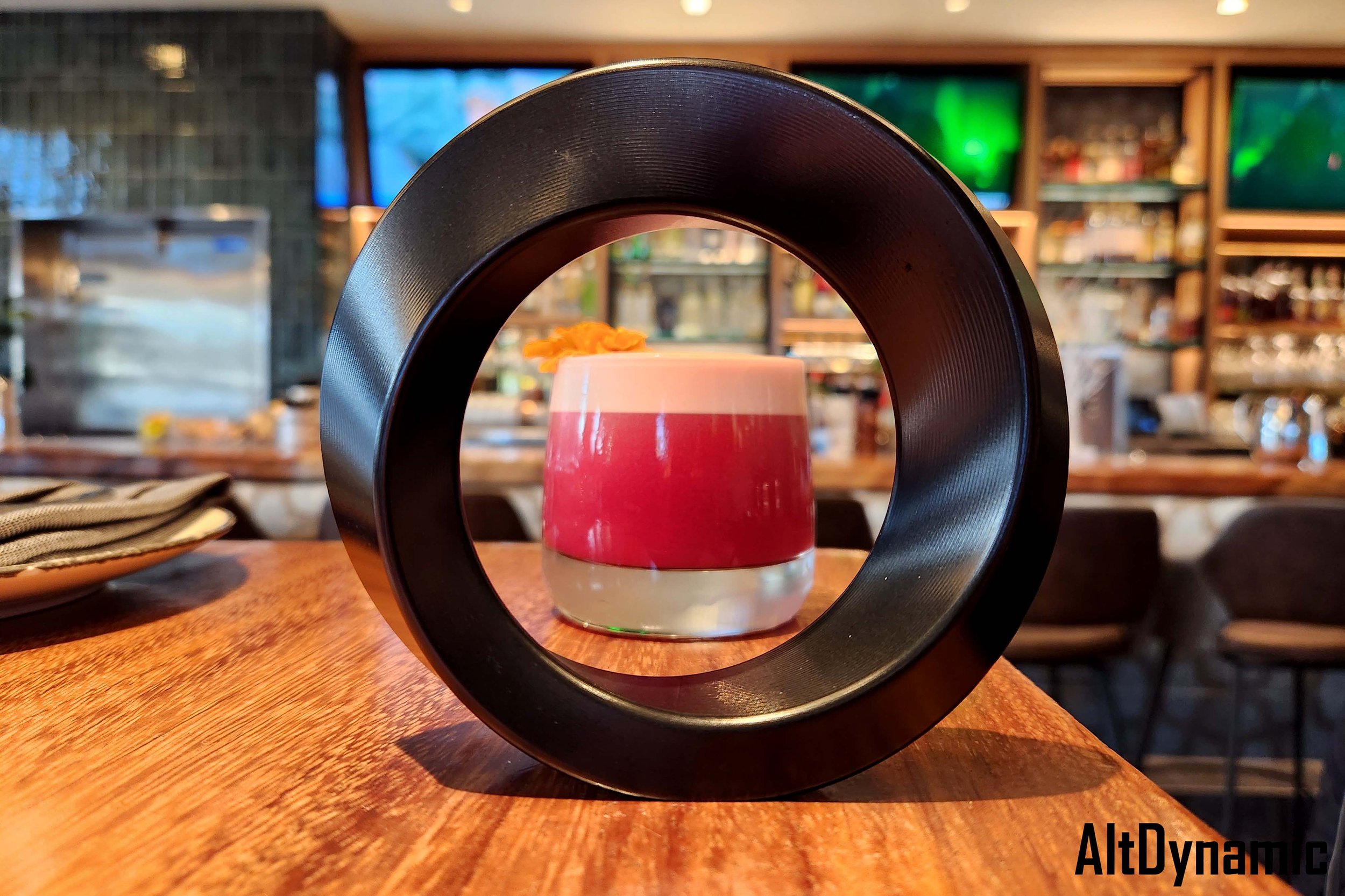 Mobius XL — AltDynamic