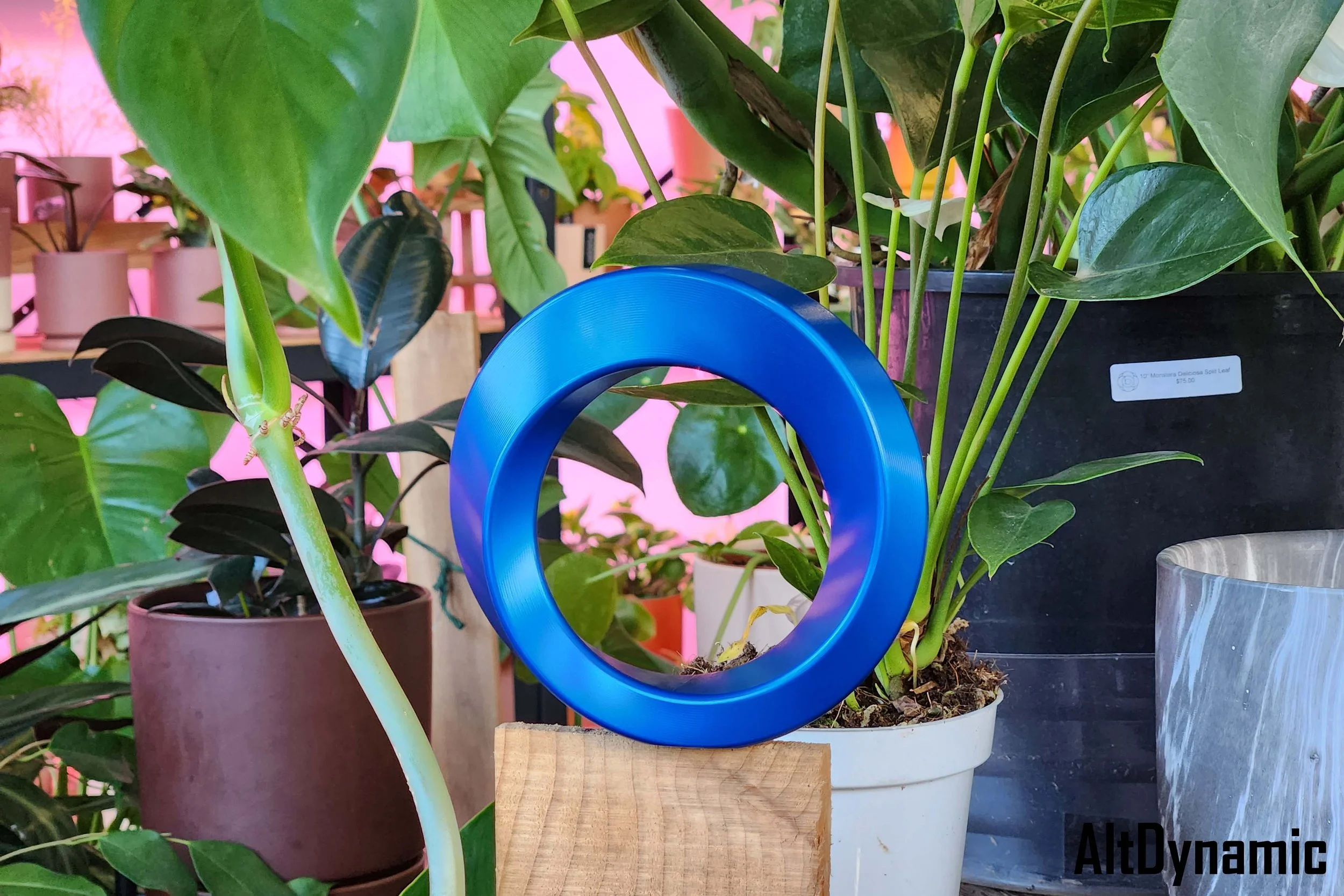 Mobius XL — AltDynamic