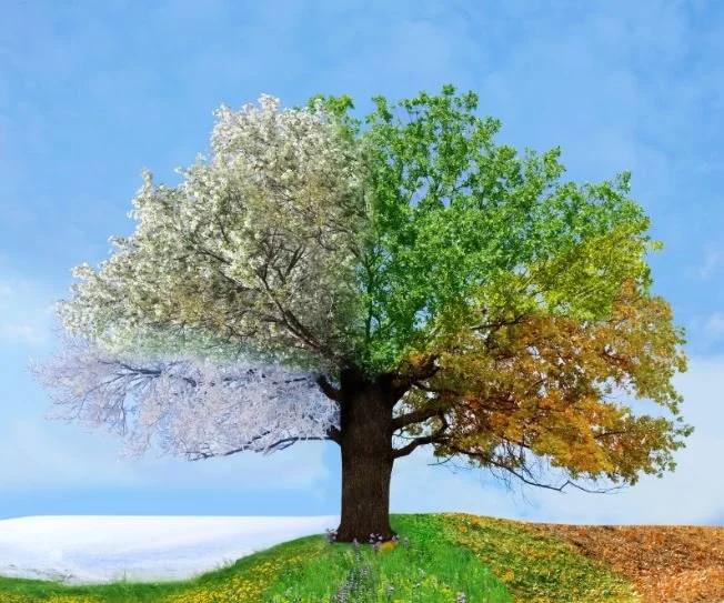 Programs — Enfield Public Library