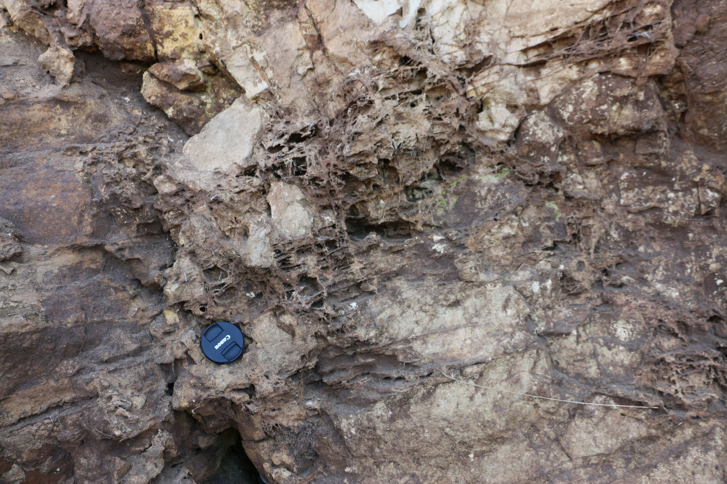 Fracture Cements, N Sea Permian — Ogilvie Geoscience