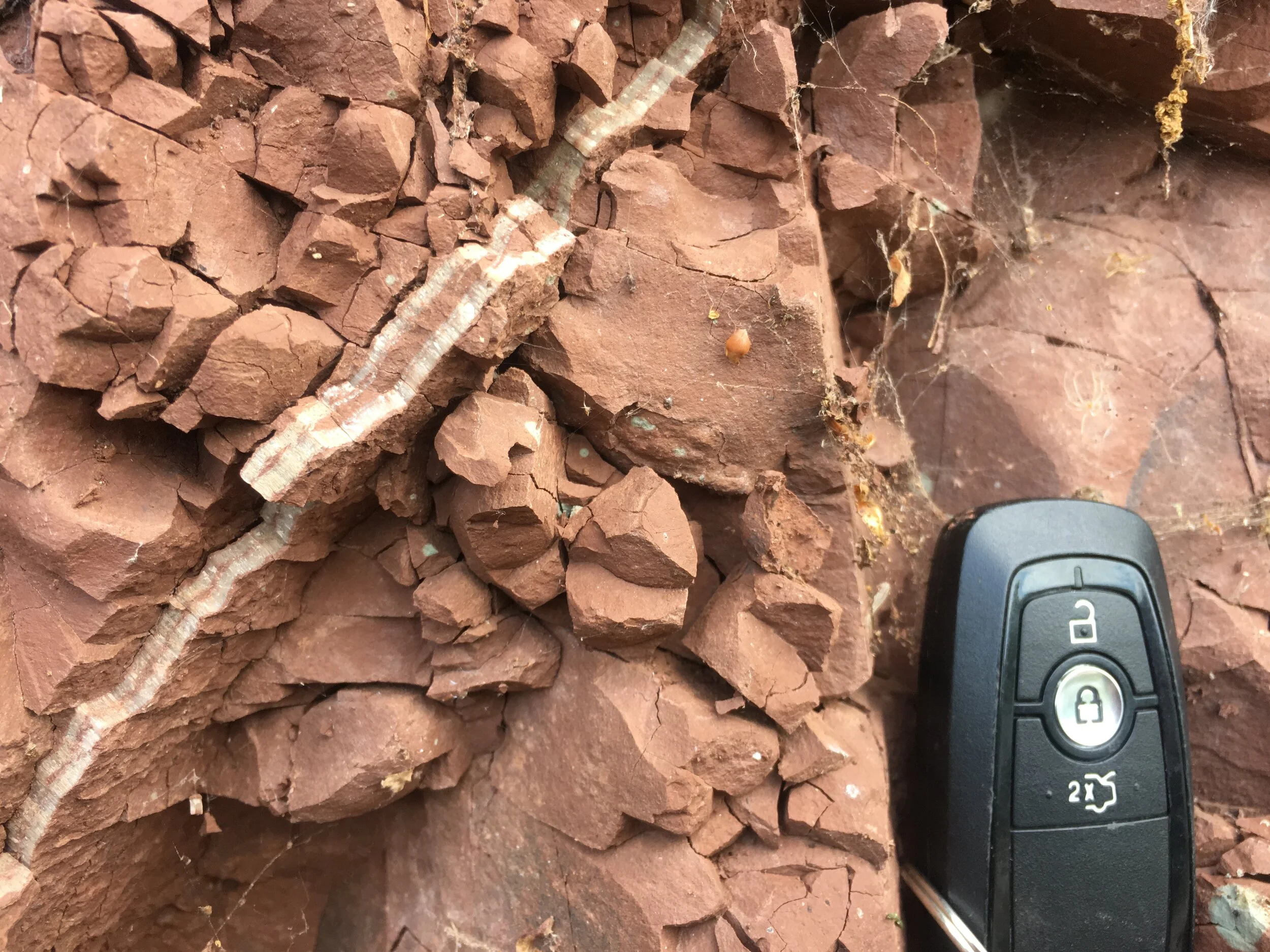 Natural Fractures in Mudstone — Ogilvie Geoscience