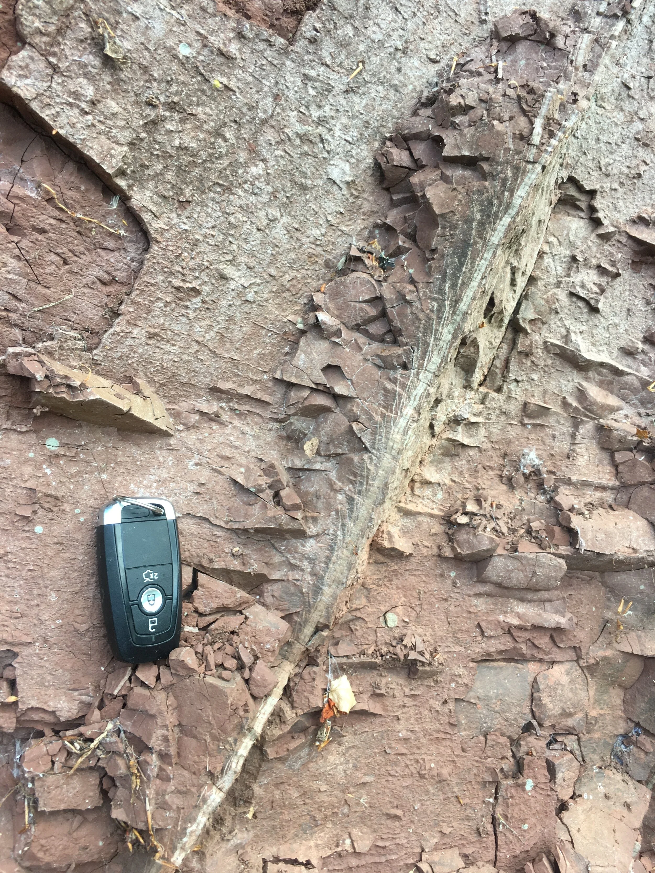 Natural Fractures in Mudstone — Ogilvie Geoscience