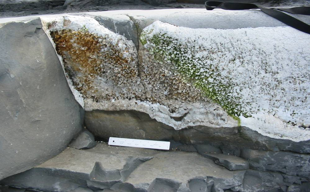 Cemented fractures: good or bad news ? — Ogilvie Geoscience