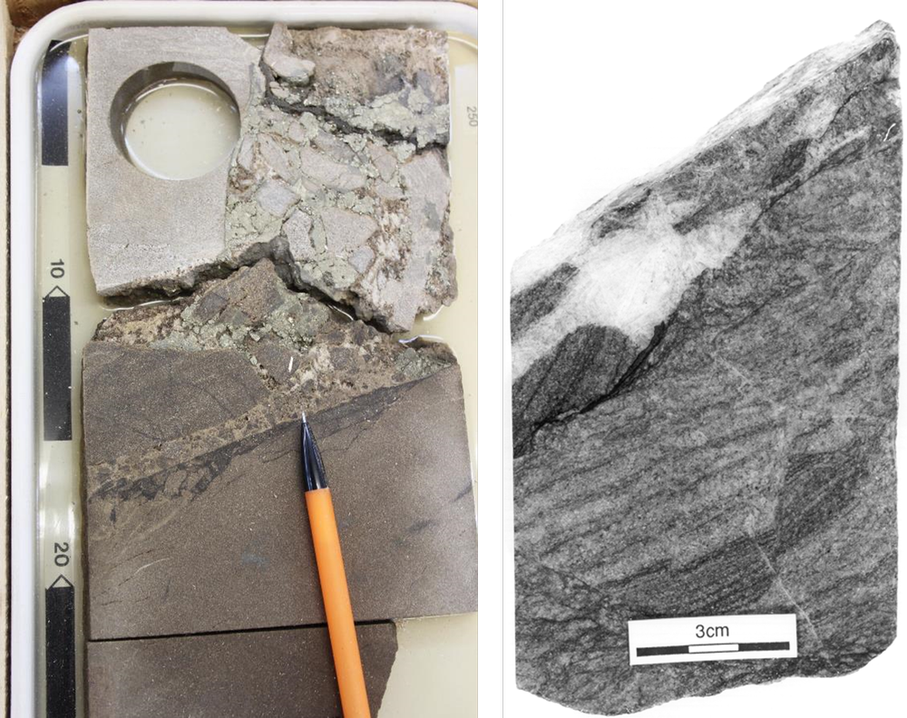 Natural or Induced Fractures ? — Ogilvie Geoscience