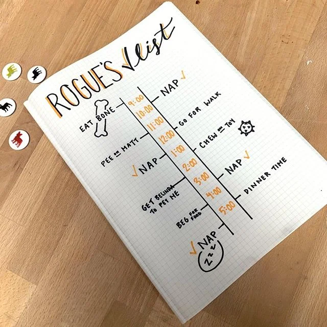 Rogue Creative Development