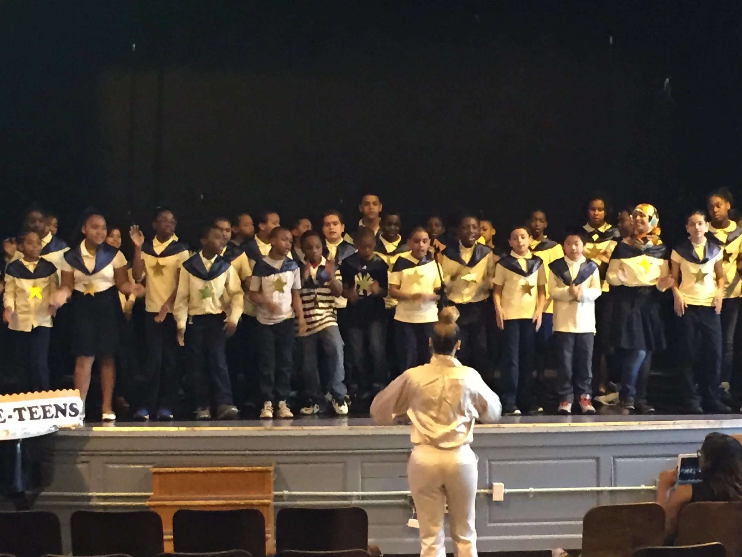 Programs — PS 125—The Ralph Bunche School