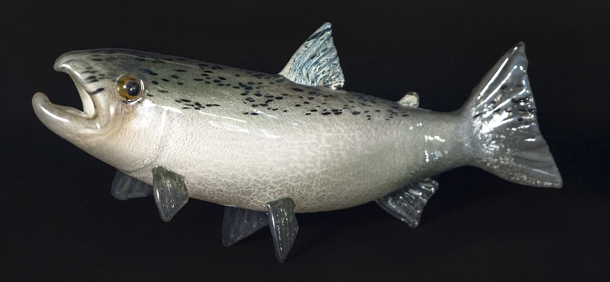 Fish Art — Nichols Art Glass