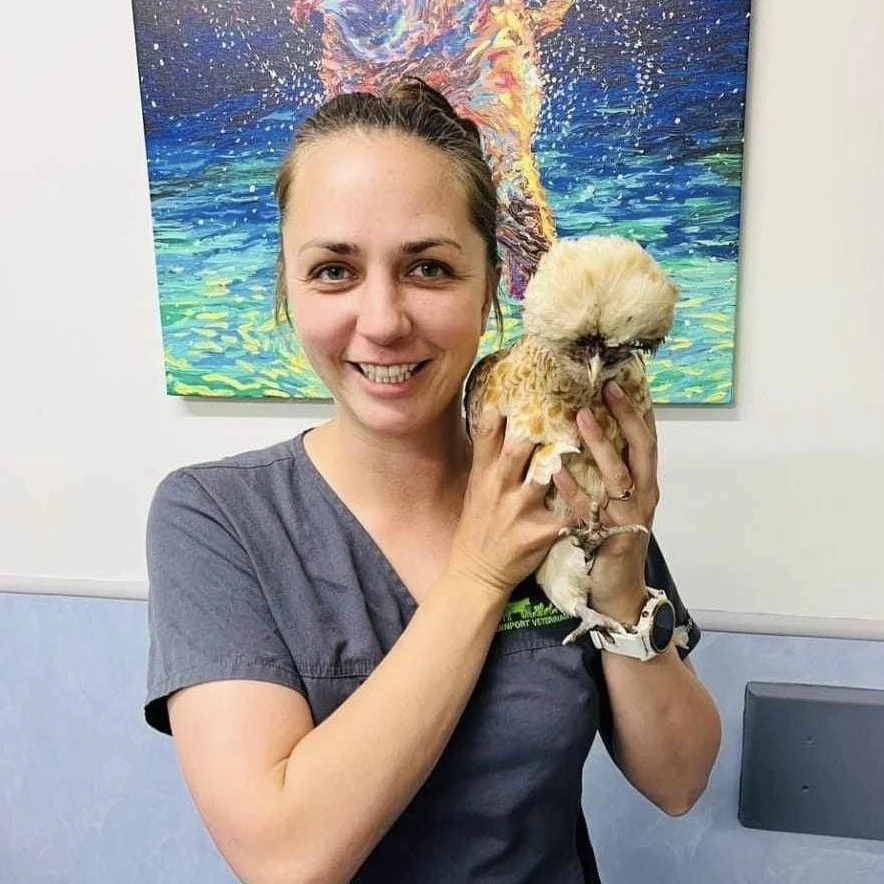 Our Team - Westernport Veterinary Clinic