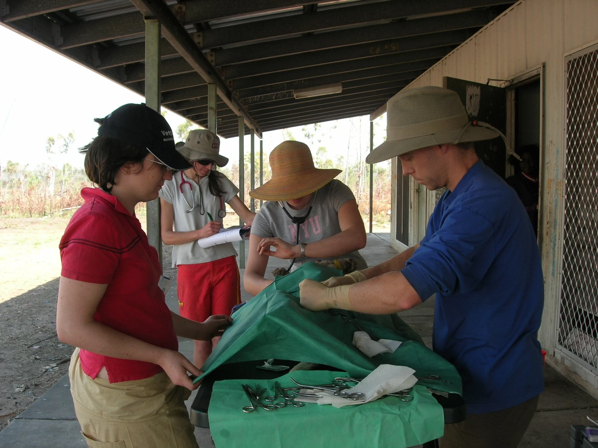 Westernport Veterinary Clinic-Home Visits