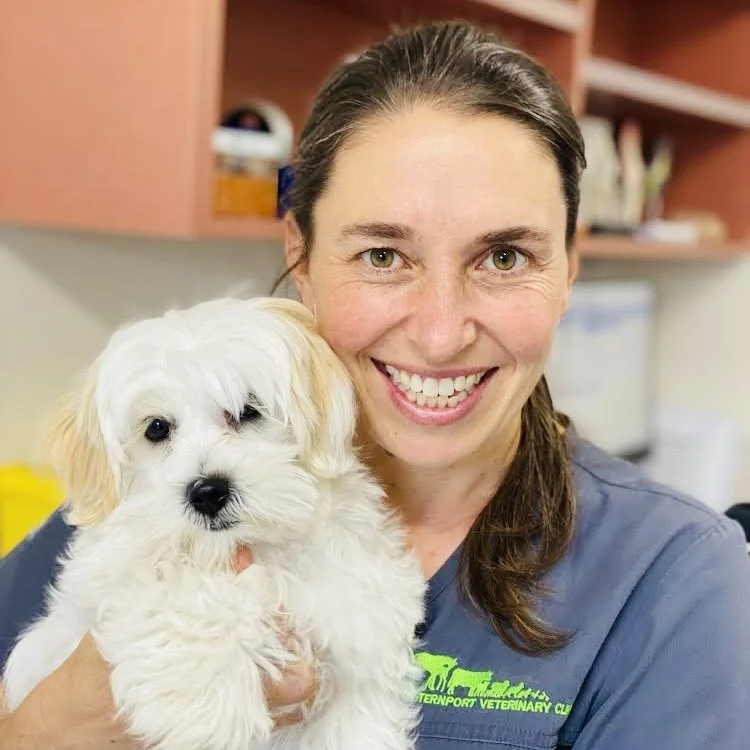 Our Team - Westernport Veterinary Clinic